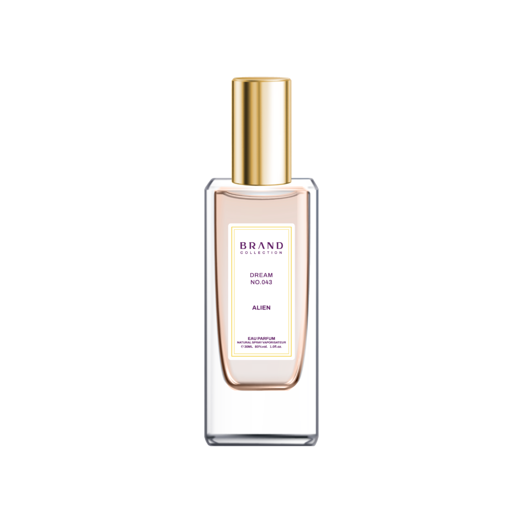 Coleção – Brand Collection